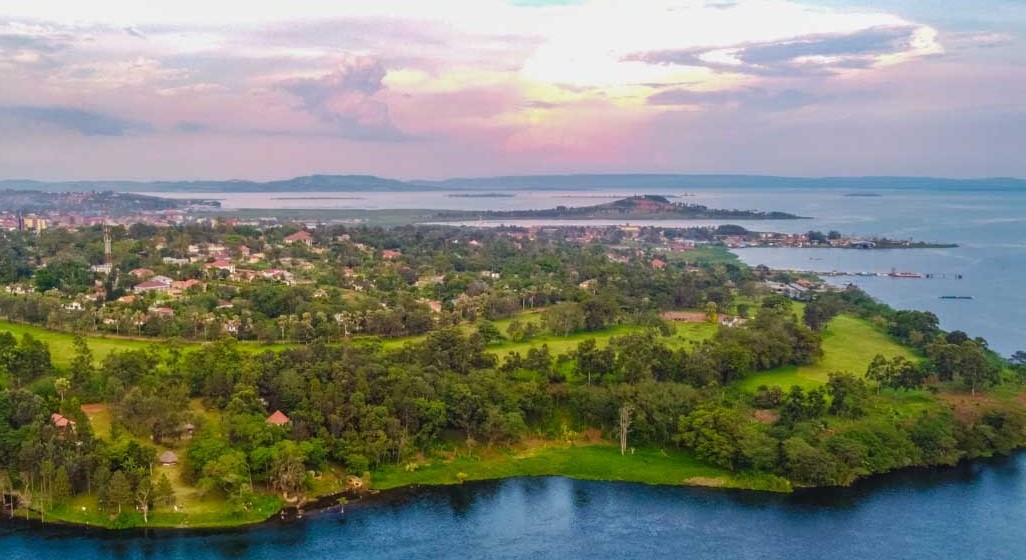 Home [jewel-naomi.github.io]