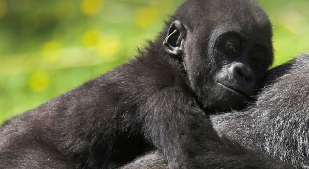 Home [jewel-naomi.github.io]